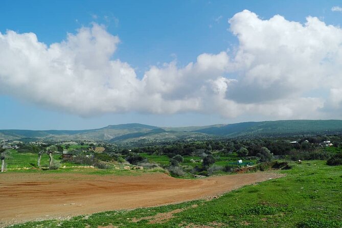 Quad or Buggy Tour From Coral Bay to Adonis Baths - Tour Inclusions and Pricing