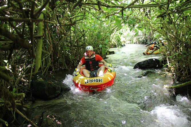 Quad or Buggy Tour with Canyon Tubing Adventure in Bali - Who Should Consider This Tour?