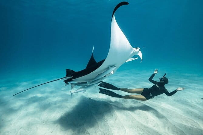 Quad Ride and Ubud Tour - Who Would Love This Tour?