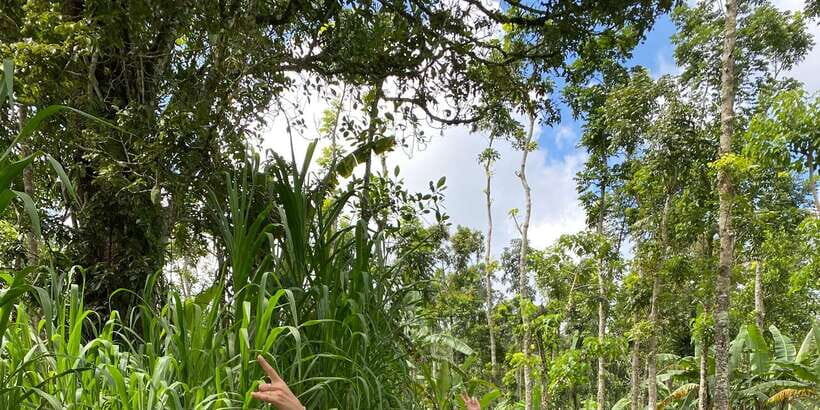 Quad ride, waterfalls & aunthentic cooking class in munduk - FAQ