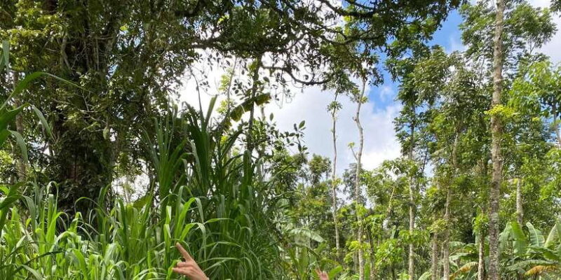 Quad ride, waterfalls & aunthentic cooking class in munduk - Who Will Love This Tour?