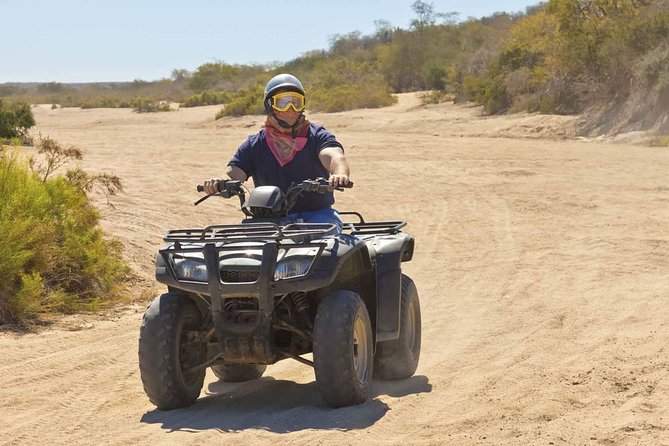 Quad Riding From Kusadasi Port For Cruise Guests - Tour Logistics: What You Need to Know