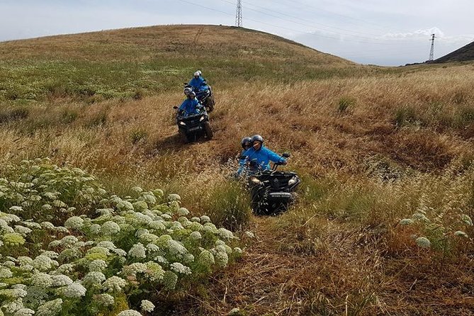 Quad Tour Excursion From the Castle to the Sea - Customer Feedback and Experiences