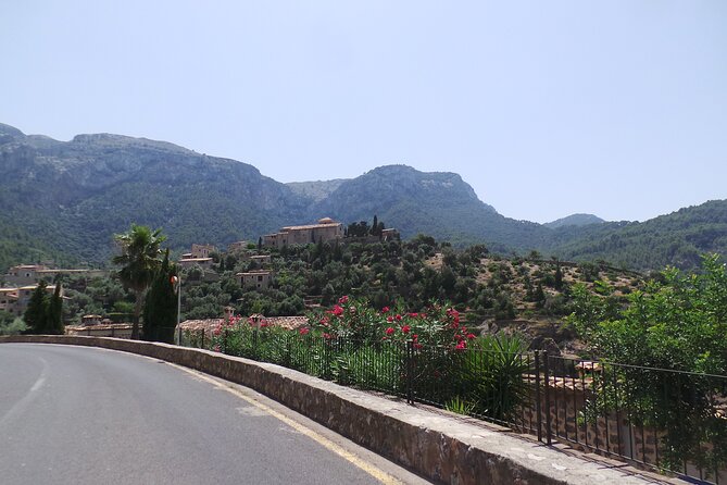 Quad tour from Paguera 3 hours - Whats Included and Whats Not