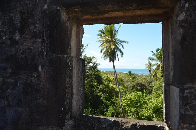 Quadricycle Private Tour Sapiranga - Praia Do Forte by Emytour - Meeting and Pickup