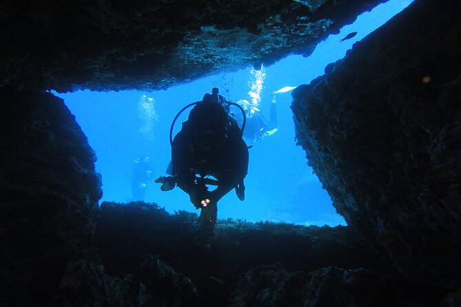 Qualified Diver 1 Tank Dive in Mykonos - Underwater Exploration and Observations