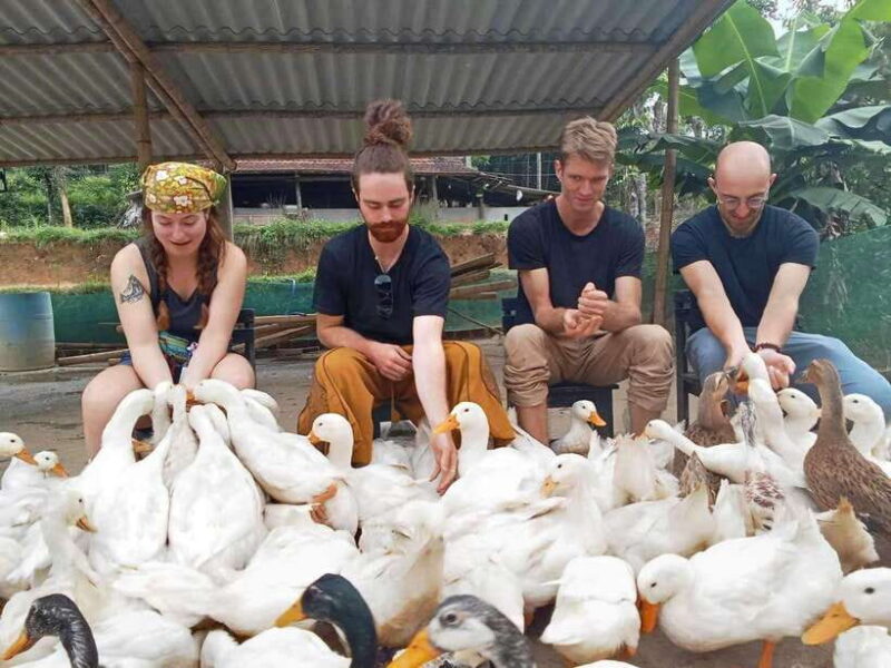 Quang Binh: Explore Phong Nha Cave and Experience Rural Life - Detailed Breakdown of Pricing and Value