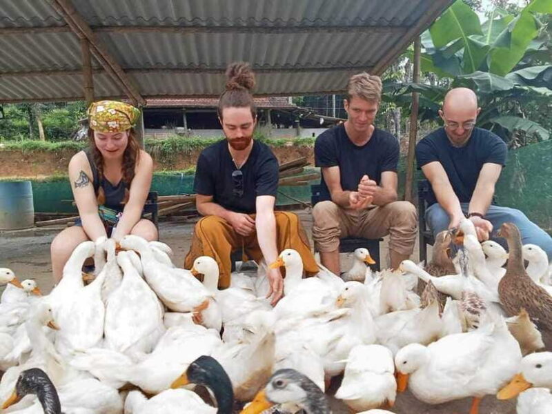 Quang Binh: Explore Phong Nha Cave and Experience Rural Life - Frequently Asked Questions