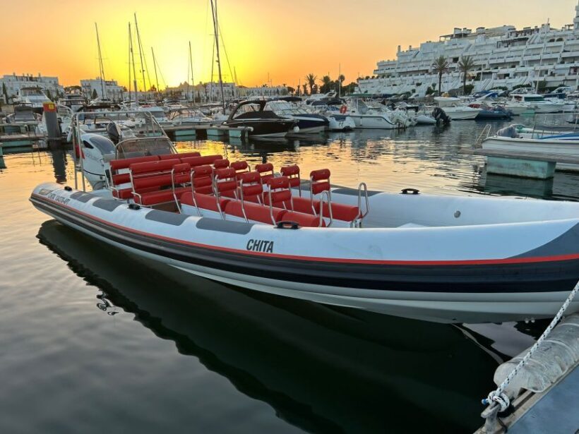 Quarteira: Algarve Coast, Caves and Dolphin Watching Cruise - Quarteira: Algarve Coast, Caves and Dolphin Watching Cruise — An Authentic Sea Adventure