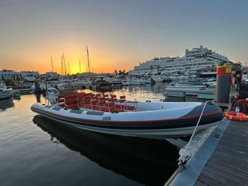 Quarteira: Algarve Coast, Caves and Dolphin Watching Cruise - Key Points