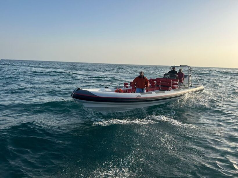 Quarteira: Algarve Coast, Caves and Dolphin Watching Cruise - FAQ