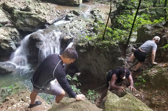 Quashie River Hiking in Cockpit Country Experience - The Experience’s Strengths and Considerations