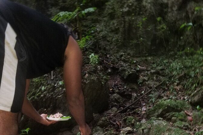 Quashie River Hiking in Cockpit Country Experience - Final Thoughts