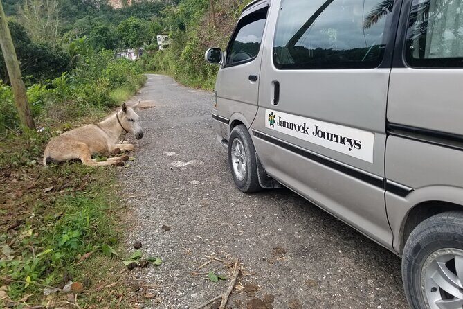 Quashie River Hiking in Cockpit Country Experience - FAQ