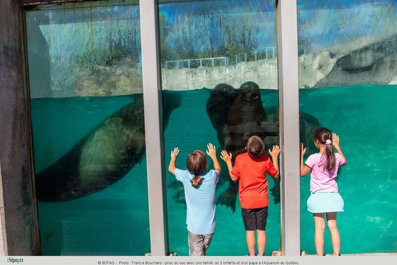 Quebec: Aquarium du Quebec Entry Ticket - Who Will Love This Experience?