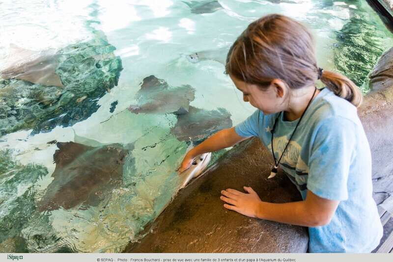Quebec: Aquarium du Quebec Entry Ticket - FAQ