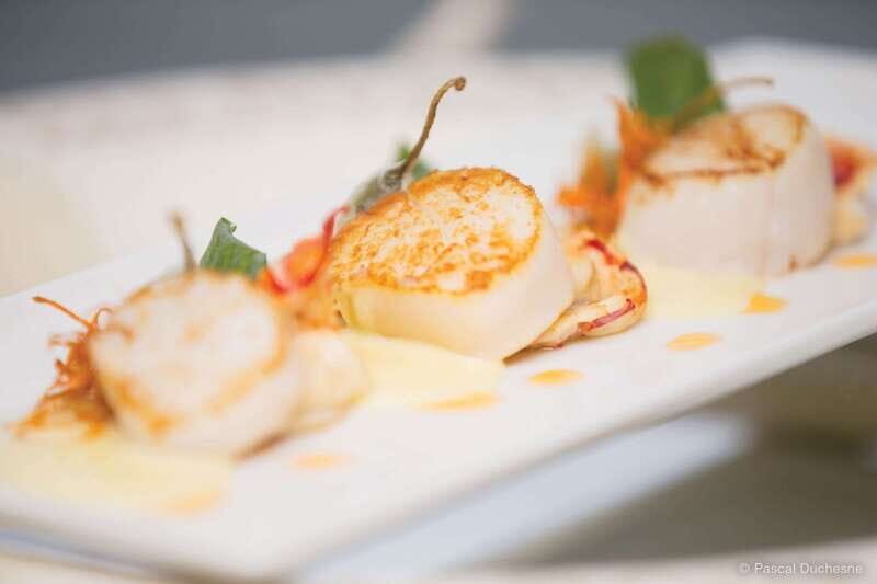 Québec City: 3 or 5-Course Dinner Cruise with DJ & Dancing - Who Will Love This Experience?