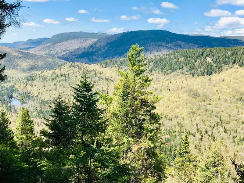 Quebec City: Guided Hike in Jacques-Cartier National Park - Who Will Enjoy This Tour?