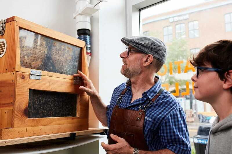 Quebec City: Honey and Distillery Tour with Tasting - The Sum Up
