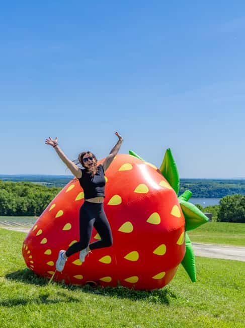 Quebec City: Ile d'Orléans Guided E-Bike Tour with Tastings - The Experience: What Tour-Goers Say