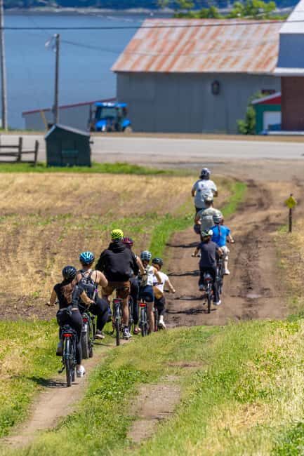 Quebec City: Ile d'Orléans Guided E-Bike Tour with Tastings - The Value for Money