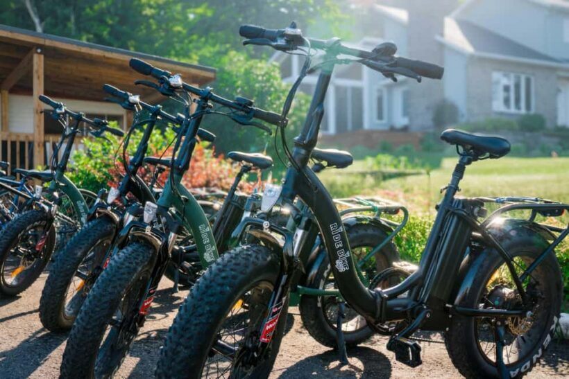 Quebec City: Ile d'Orléans Guided E-Bike Tour with Tastings - Who Will Love This Tour?