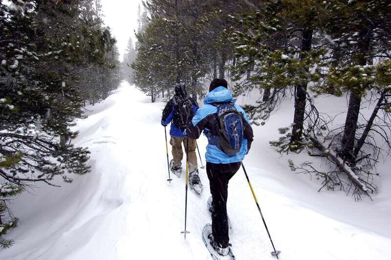 Quebec City: Jacques-Cartier National Park Snowshoeing Tour - Key Points