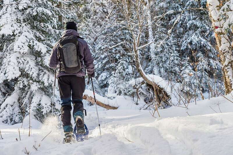 Quebec City: Jacques-Cartier National Park Snowshoeing Tour - Who Should Consider This Tour?