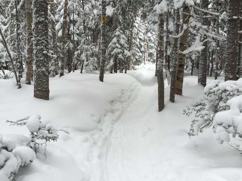Quebec City: Jacques-Cartier National Park Snowshoeing Tour - The Sum Up