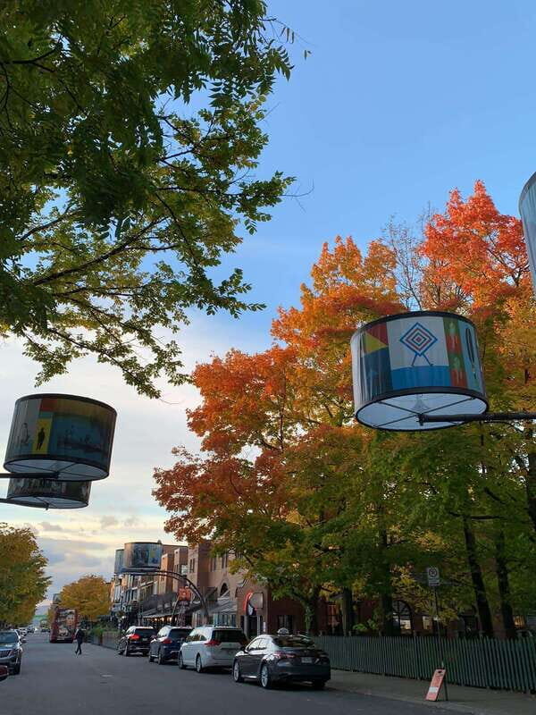 Quebec City: Montcalm & St-Jean Baptiste Walking Tour (2,5h) - An In-Depth Look at the Tour Experience