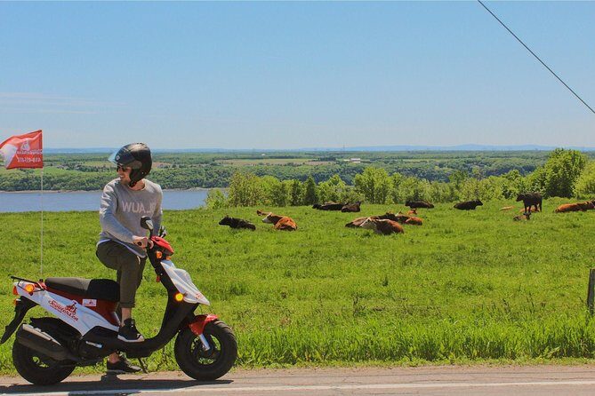 Quebec City - Scooter Rental on Ile d'Orléans - Who Will Love This Experience?