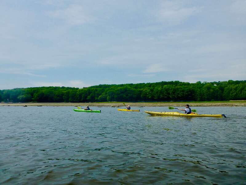 Quebec City: Sea-Kayaking Tour in Orleans Island - Authentic Feedback from Participants