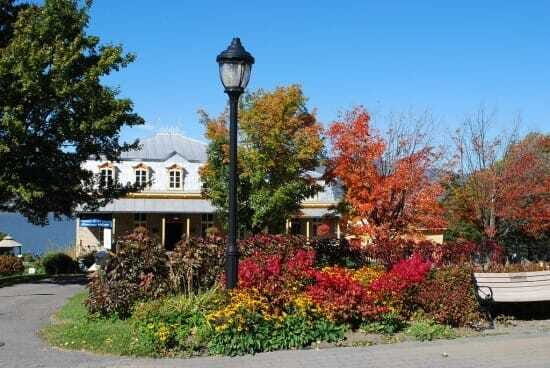 Quebec: City Tour, Montmorency Falls & Île d'Orléans Tour - Final Thoughts
