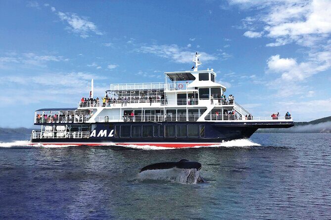 Québec City: Whale Watching Tour with Bus Transportation - FAQ