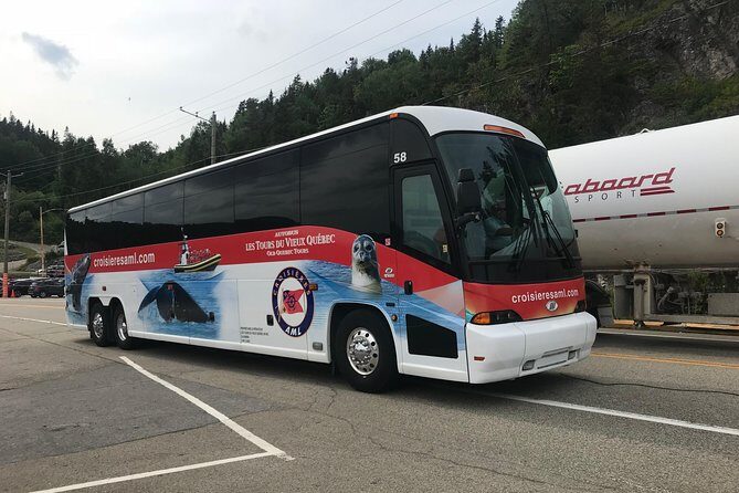 Québec City: Whale Watching Tour with Bus Transportation - Final Thoughts