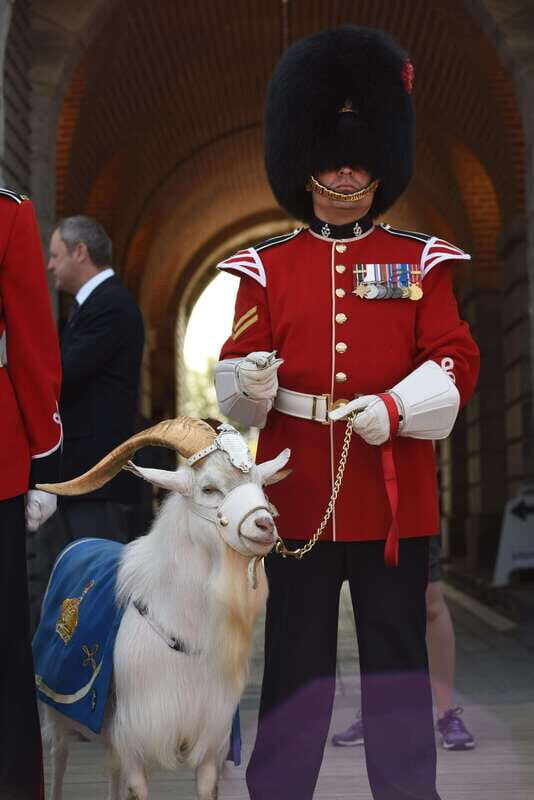Quebec: La Citadelle de Québec Ticket and Guided Tour - The Value of This Tour
