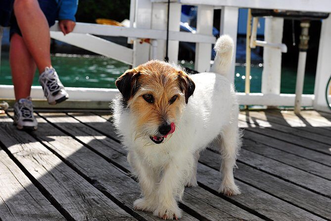 Queen Charlotte Sound Mail Boat Cruise - Who Will Love This Tour?