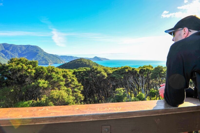 Queen Charlotte Track: Cruise & Self-Guided Hike from Picton - An Overview of the Experience