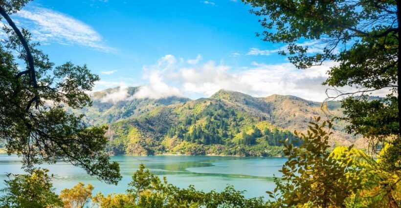 Queen Charlotte Track: Cruise & Self-Guided Hike from Picton - Practical Details and Tips