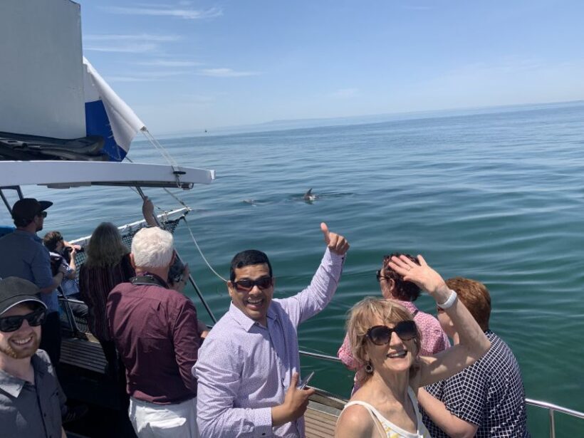 Queenscliff: 1.5hr Harbour Wildlife Sightseeing Cruise Tour - Final Thoughts: Is the Queenscliff Wildlife Cruise Worth It?