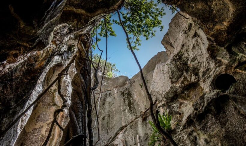 Queensland: 90 Minute Capricorn Caves Explorer Tour - An Honest Look at the Capricorn Caves Explorer Tour