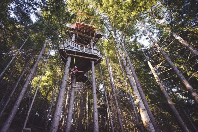 Queenstown: 1-Hour Zipline Tour with 2-Lines & 21-Meter Drop - FAQs