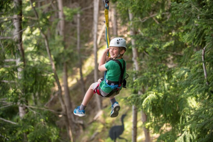 Queenstown: 2-Hour Zipline Tour with 4-Lines - An introduction to what you can expect