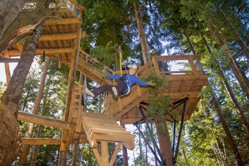 Queenstown: 2-Hour Zipline Tour with 4-Lines - What makes this zipline tour special?