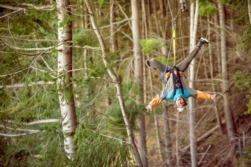 Queenstown: 3-Hour Zipline Adventure with 6-Lines - Who Will Love This Tour?