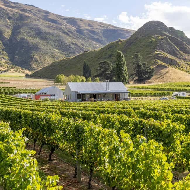 Queenstown, Arrowtown, Gibbston: Flexible Wine Hopper Tours - An Overview of the Queenstown Flexible Wine & Food Adventure