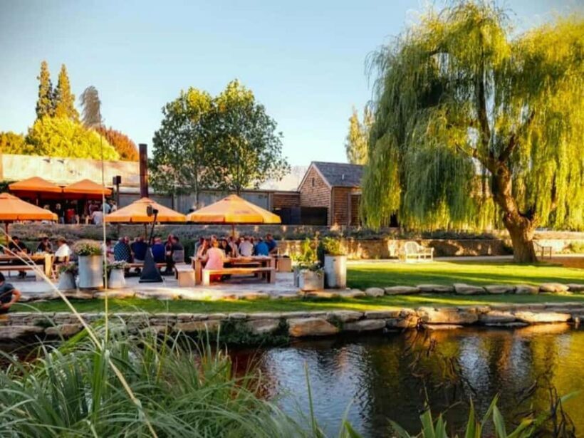 Queenstown, Arrowtown, Gibbston: Flexible Wine Hopper Tours - Authentic Experiences and Honest Value