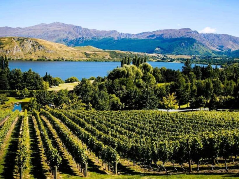 Queenstown, Arrowtown, Gibbston: Flexible Wine Hopper Tours - FAQs