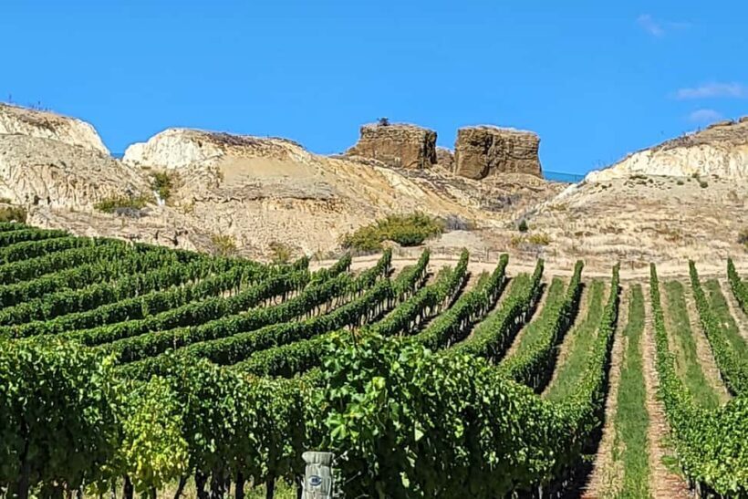 Queenstown: Central Otago Wine Tour - Key Points