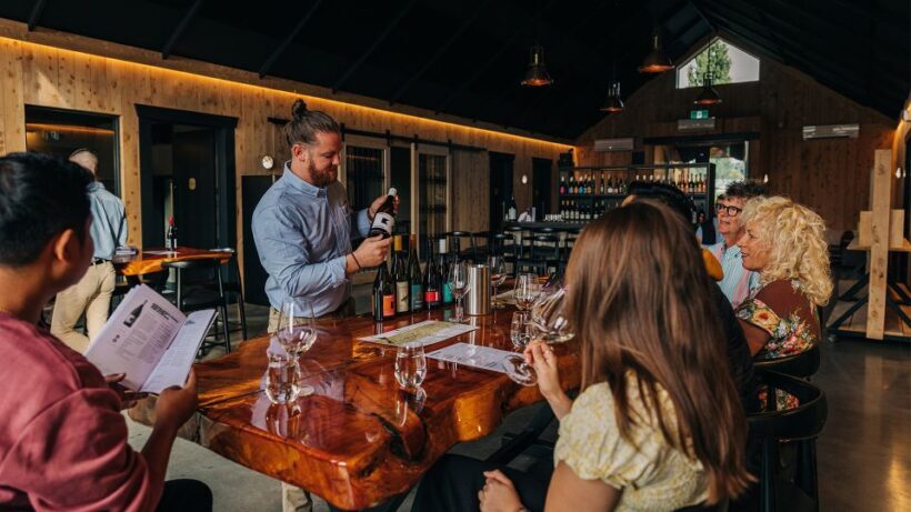 Queenstown: Classic Central Otago Wine Tasting Experience - A detailed look at what this tour offers